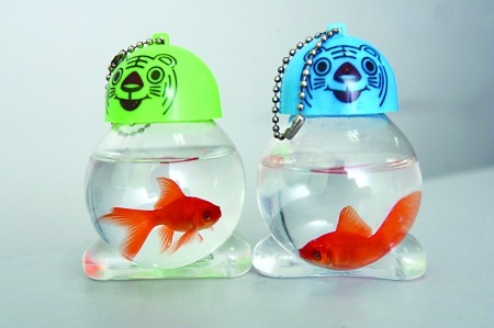Live Fish and Reptiles Sold as Keychains in China | Amusing Planet
